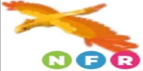 Buy Pet PHOENIX NFR - ADOPT ME Adopt Me Trading Hub 3271217 | itemku