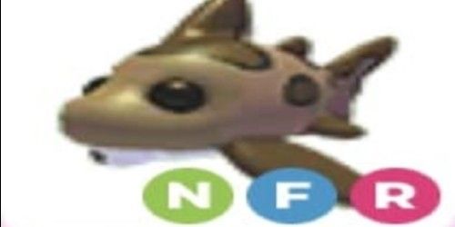 Buy Pet LEOPARD SHARK NFR - ADOPT ME Adopt Me Trading Hub 3273522 | itemku