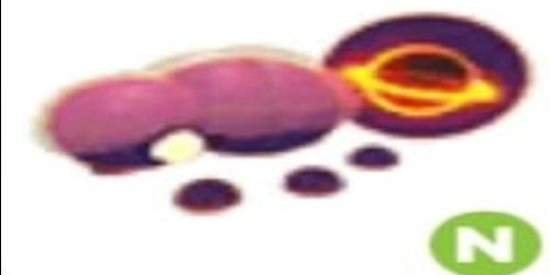 Buy Pet SINGULARITY BEETLE N - ADOPT ME Adopt Me Trading Hub 3275117 ...