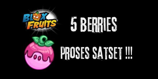 Beli Joki Lainnya Pinky Pig Berries Blox Fruits Terlengkap dan Termurah ...