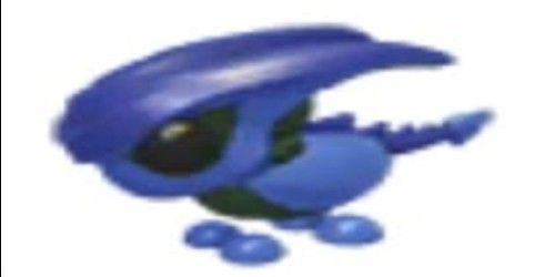 Beli Pet ZEOPOD - ADOPT ME Adopt Me Trading Hub Terlengkap dan Termurah ...