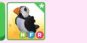 Buy Pet NFR Puffin NFR Adopt Me Trading Hub 3364629 | itemku