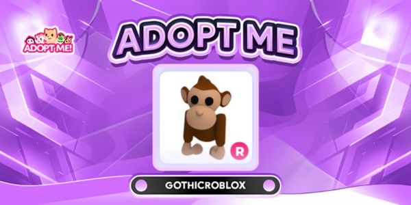 Buy Pet Monkey R | gothicRBL Adopt Me Trading Hub 3348392 | itemku