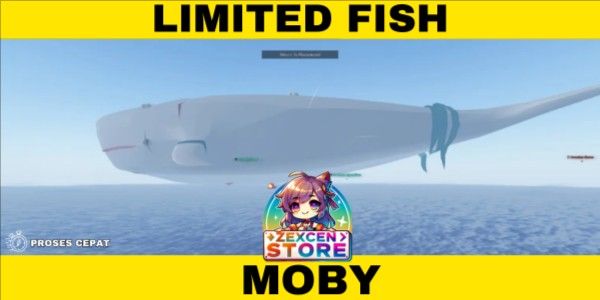 Buy Fish MOBY Fisch 3347789 | itemku