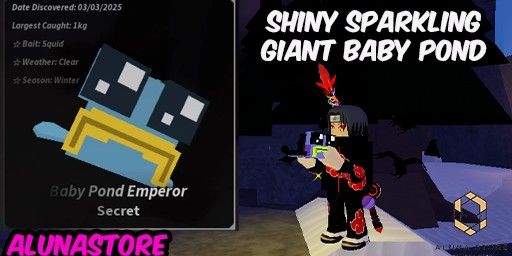 Buy Fish Baby Pond Emperor | Sparkling Shiny Giant Baby Pond Emperor ...