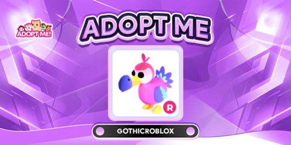 Buy Pet Dodo R | gothicRBL Adopt Me Trading Hub 3353029 | itemku