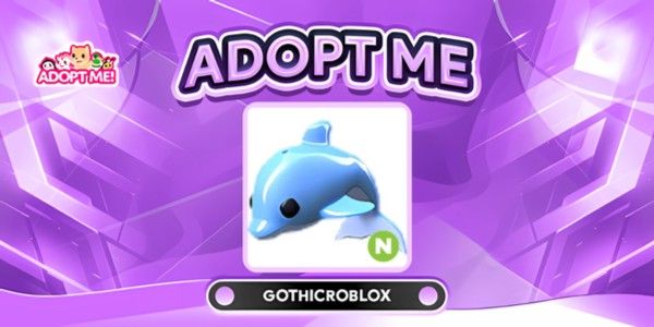 Buy Pet Dolphin N | gothicRBL Adopt Me Trading Hub 3442504 | itemku