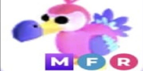 Buy Pet DODO MFR - ADOPT ME Adopt Me Trading Hub 3445081 | itemku