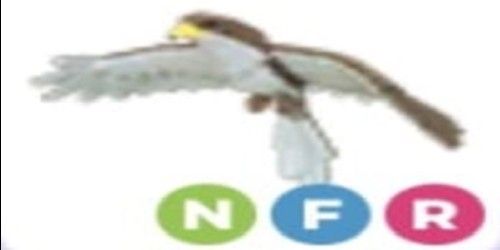Buy Pet HAWK NFR - ADOPT ME Adopt Me Trading Hub 3447866 | itemku