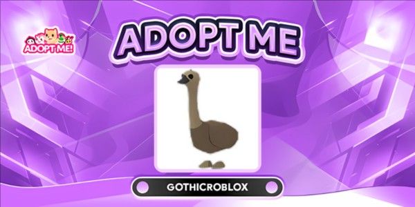 Buy Pet Emu | gothicRBL Adopt Me Trading Hub 3452379 | itemku