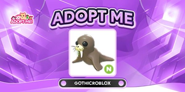 Buy Pet Walrus N | gothicRBL Adopt Me Trading Hub 3464582 | itemku