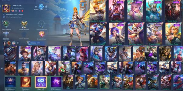 Buy Account "Fanny skin lightborn" Mobile Legends 3468354 | itemku