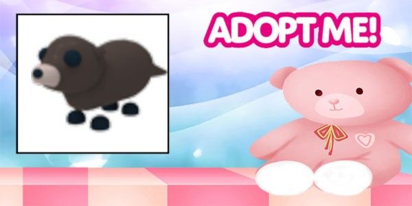 Buy Pet Otter MR Adopt Me Adopt Me Trading Hub 3415142 | itemku