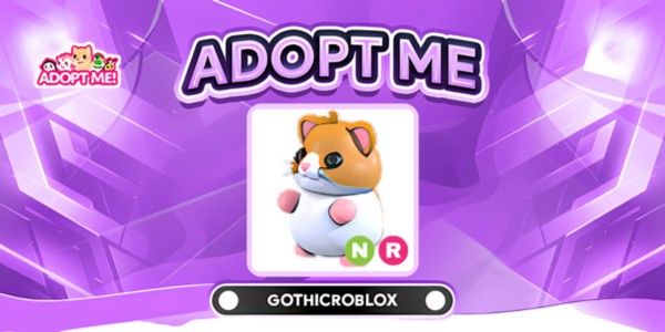 Buy Pet Hamster NR | gothicRBL Adopt Me Trading Hub 3315694 | itemku