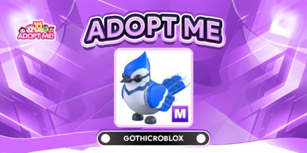 Buy Pet Blue Jay M | gothicRBL Adopt Me Trading Hub 3514164 | itemku