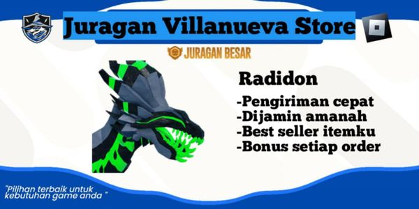 Buy Dragon Radidon Dragon Adventures 3528748 | itemku