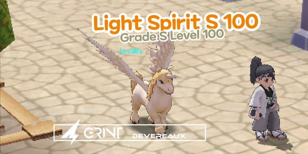 Beli Pet (Battle Pet) Light Spirit 100 S - [ LS S 100 ] Grade S Level ...