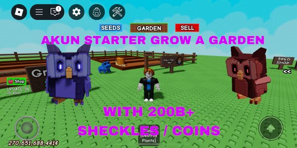 Buy Account STARTER ACCOUNT WITH 200B+ COINS Grow A Garden 3546202 | itemku