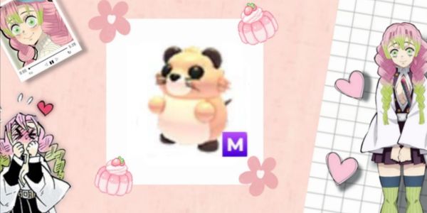 Buy Pet Mega muskrat Adopt Me Trading Hub cheapest May 2026 | itemku