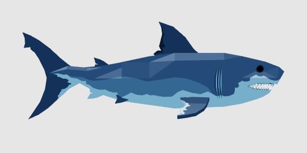 Buy Fish Ginsu Shark Fisch 3481476 | itemku