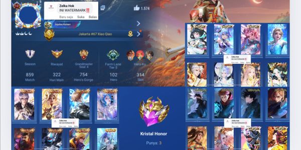 Buy Account For Sale HoK Sultan Nobility 10 Honor of Kings Account ...