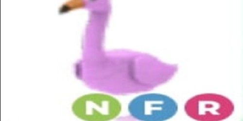 Buy Pet FLAMINGO NFR - ADOPT ME Adopt Me Trading Hub 3573283 | itemku
