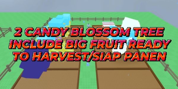 Buy Account Account 2 Candy Blossom Tree - Grow A Garden Grow A Garden ...