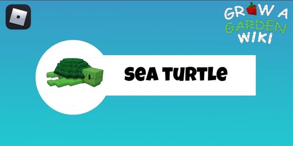 Buy Pets Giant Huge Titan Sea Turtle Grow A Garden 3604574 | itemku