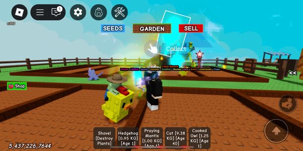 Buy Account ACCOUNT 1 CANDY BLOSSOM WITH 10 MUTATIONS Grow A Garden ...