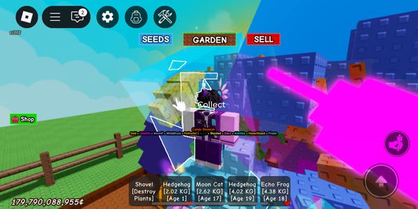 Buy Account ACCOUNT 4 CANDY BLOSSOM WITH 11 MUTATIONS Grow A Garden ...
