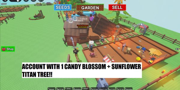 Buy Account Akun 1 Titan Candy Blossom + Titan Sunflower - Grow a ...