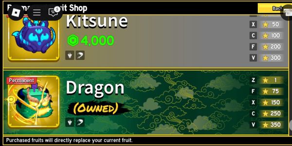 Buy Account 4 Perm Dragon, Portal, DLL | Fruit Notifier + 3 Game Pass ...