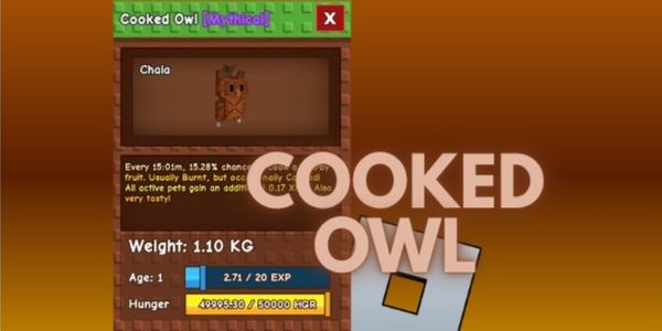 Buy Pets Pet cooked owl (grow a garden) Grow A Garden 3617914 | itemku