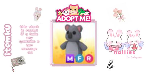 Buy Pet MFR Koala Adopt Me Trading Hub cheapest May 2026 | itemku