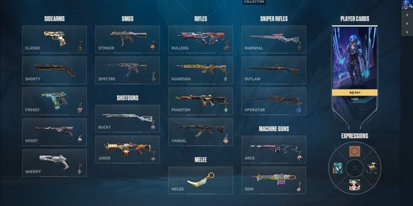 Buy Account 2 BUNDLE CHAMPIONS 2022, 2023 ft PTC BUNDLE / SOL VANDAL ...