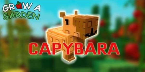 Buy Pets Capybara | Grow A Garden | Pet Grow A Garden 3660161 | itemku