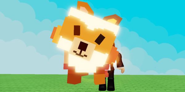 Buy Pets RADIANT TANUKI - RADIANT MUTATION - GROW A GARDEN Grow A ...