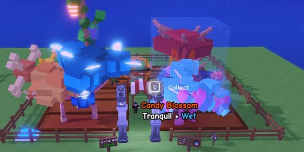 Buy Account Account 2 Candy Blossom Tree + 1 Bone Blossom Tree + 1 ...