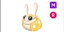 Buy Pet Hopbop MR > pet Adopt me Adopt Me Trading Hub 3738455 | itemku