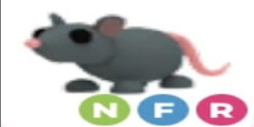 Buy Pet RAT NFR - ADOPT ME Adopt Me Trading Hub 3739650 | itemku