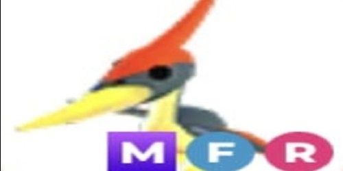 Buy Pet PTERODACTYL MFR - ADOPT ME Adopt Me Trading Hub 3739878 | itemku