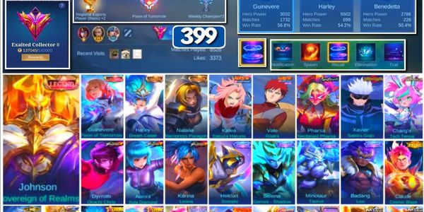 Buy Account #2440 | 399 Skins | Legend Johnson & Guinevere | Collector ...