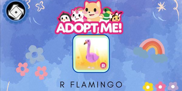 Buy Pet Flamingo R Adopt Me Trading Hub 3781370 | itemku