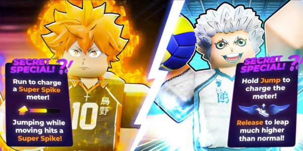 Buy Account TIMESKIP HINOTO (HINTO) + KAZANA + MAGNETIC PULL Volleyball ...
