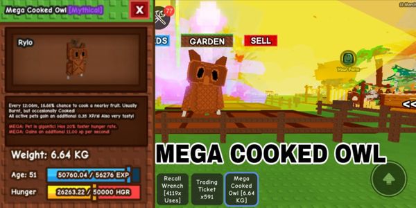 Buy Pets MEGA COOKED OWL GROW A GARDEN / MEGA COOK OWL Grow A Garden ...