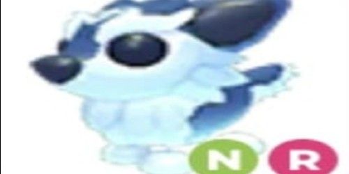 Buy Pet SHIVER WOLF NR - ADOPT ME Adopt Me Trading Hub 3831511 | itemku