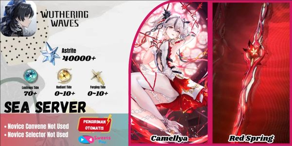 Buy Account [SEA] Camellya + Red Spring Wuthering Waves Account ...