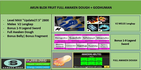 Beli Akun Akun Blox Fruit FULL AWAKEN DOUGH [Level MAX] Blox Fruits ...