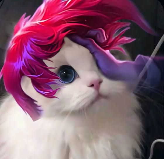 Beli Produk di Jamaris Store Terlengkap Oktober 2024 | itemku