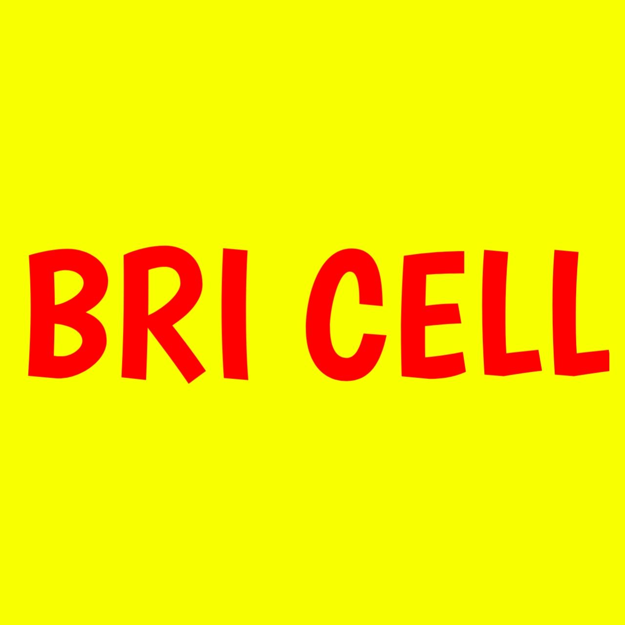 Beli Produk di BRI CELL Terlengkap Maret 2025 | itemku
